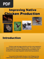 Basic Stag Conditioning: Conditioning Guide and Basic Tips During ...