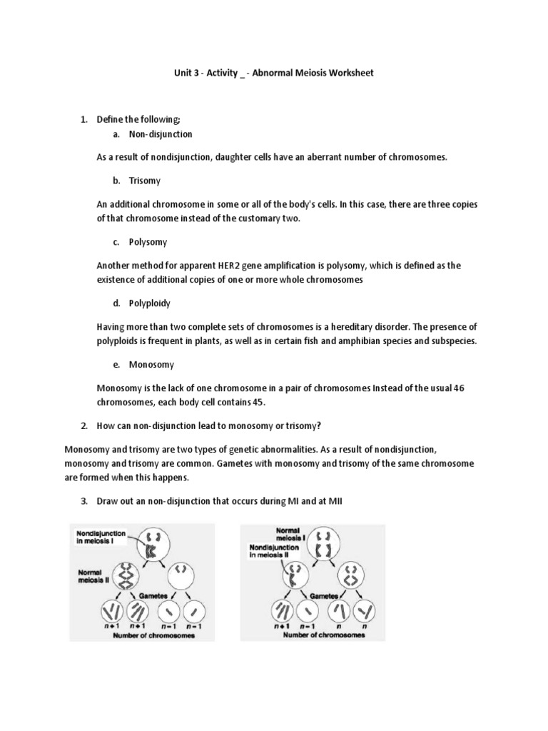 Unit 3 - Activity 9 - Abnormal Meiosis Worksheet | PDF | Human ...