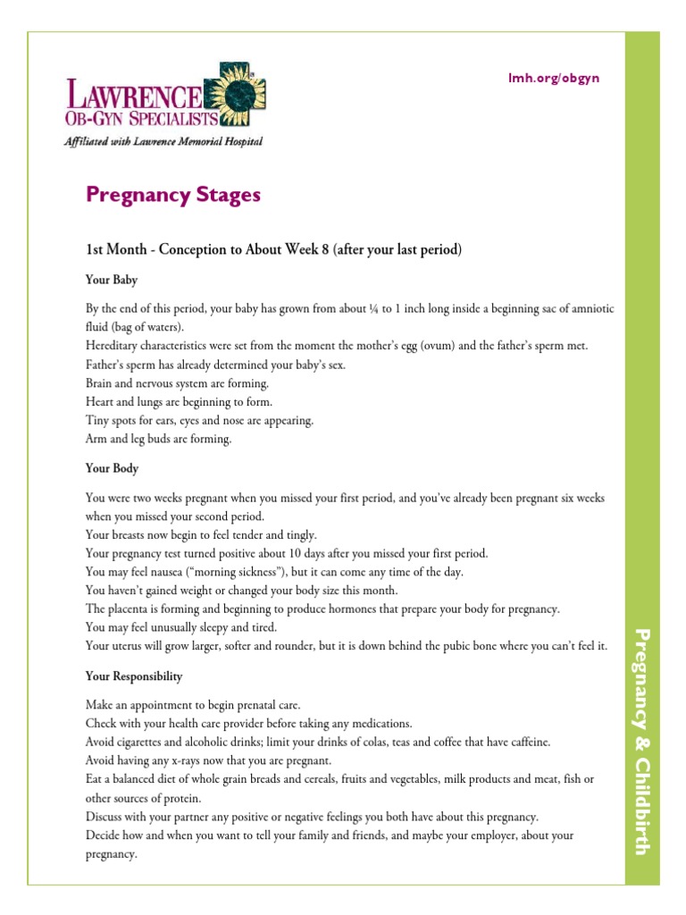 Pregnancy Stages: Month-by-Month Guide | PDF | Pregnancy | Childbirth