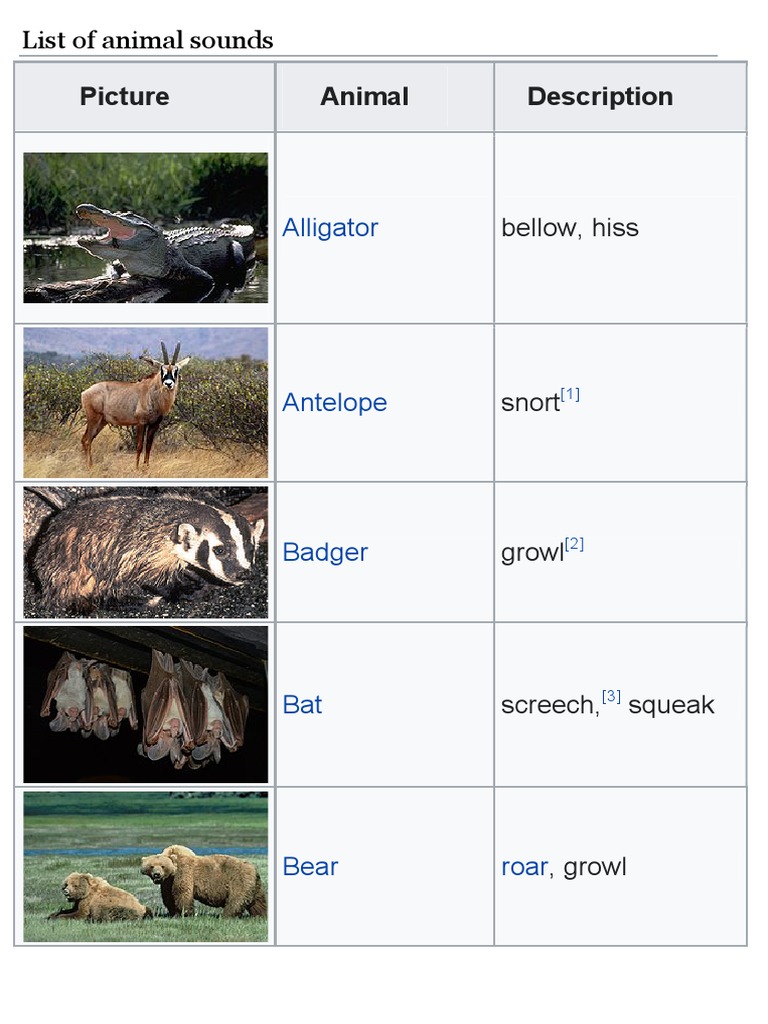 Picture Animal Description: List of Animal Sounds | PDF | Zoology