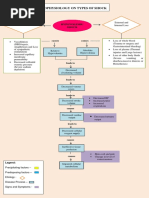 Congestive Heart Failure and Pulmonary Edema Concept Map | PDF | Heart ...