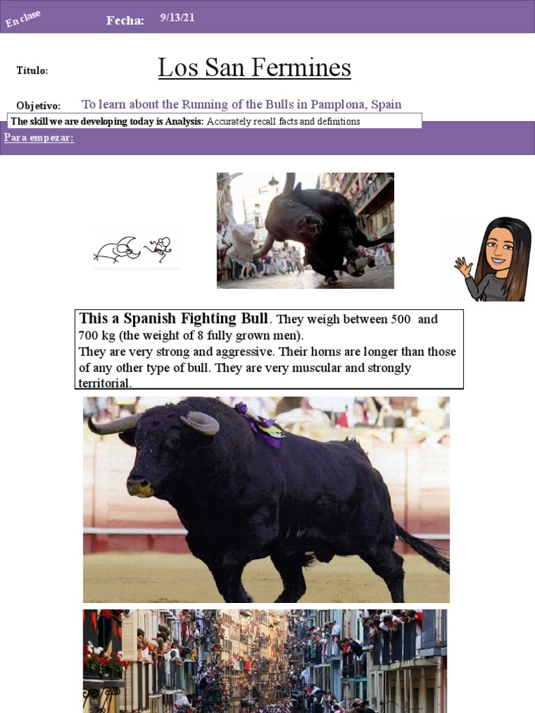 Los San Fermines | PDF | Bullfighting | Bull