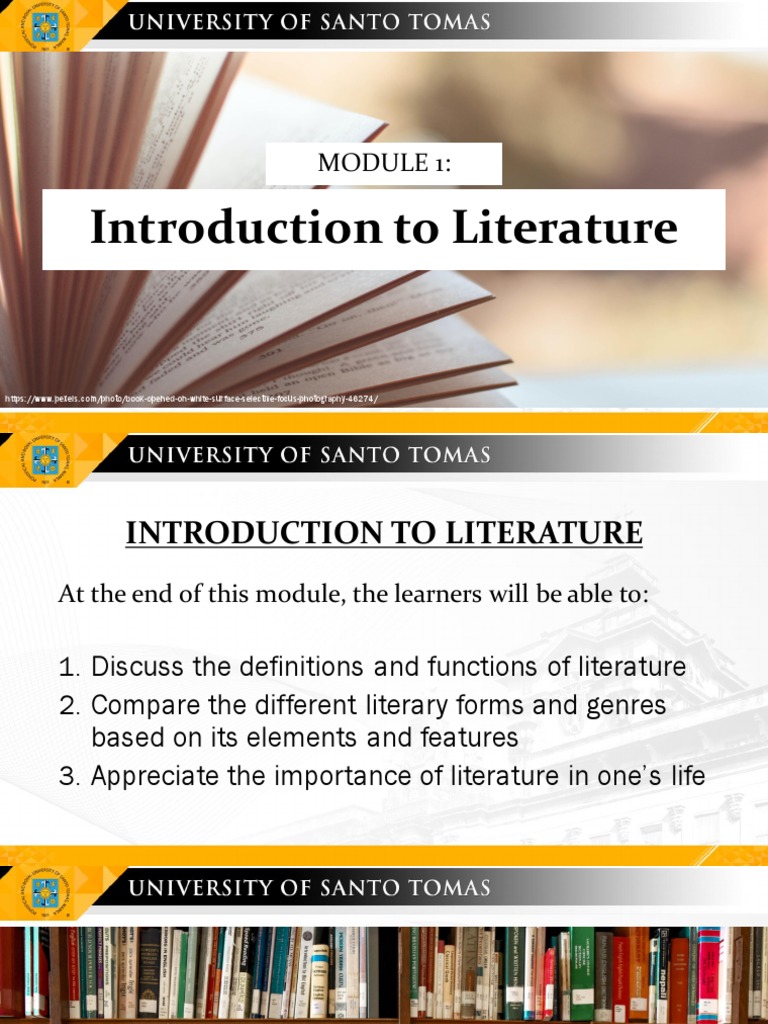 Introduction to Literature Overview | PDF | Poetry | Narrative