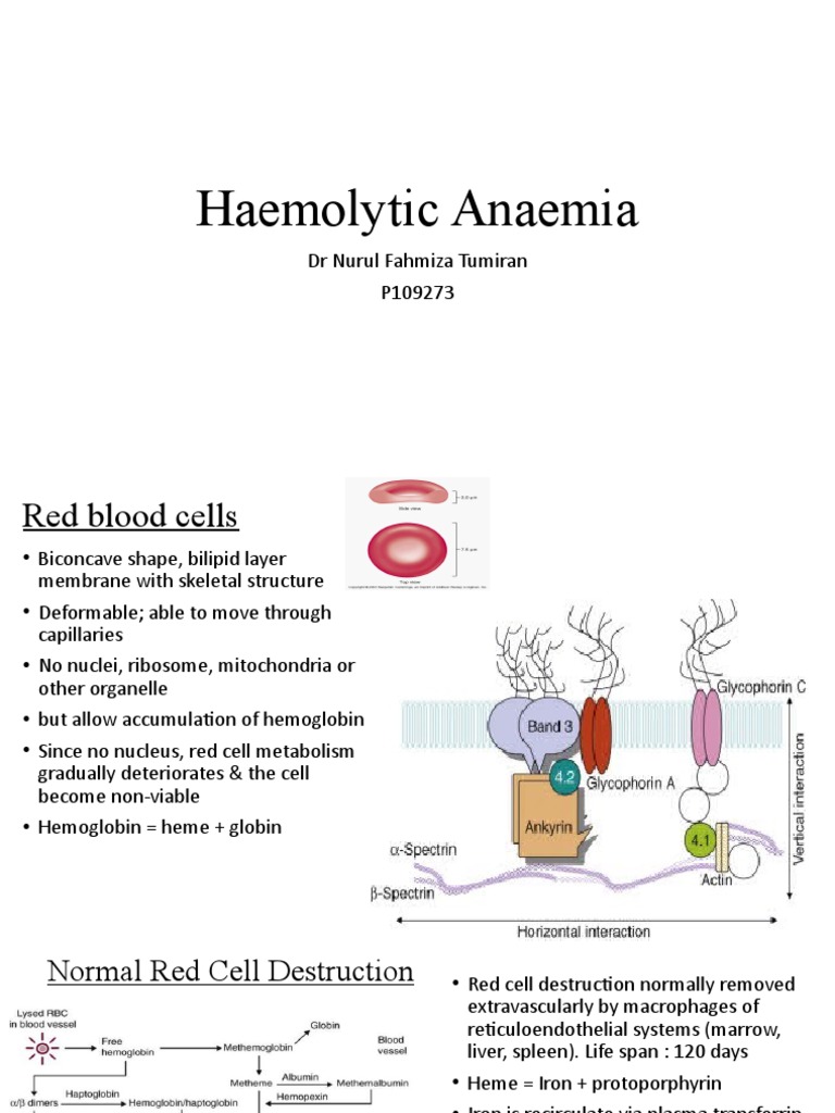 Haemolytic Anaemia | PDF | Anemia | Red Blood Cell