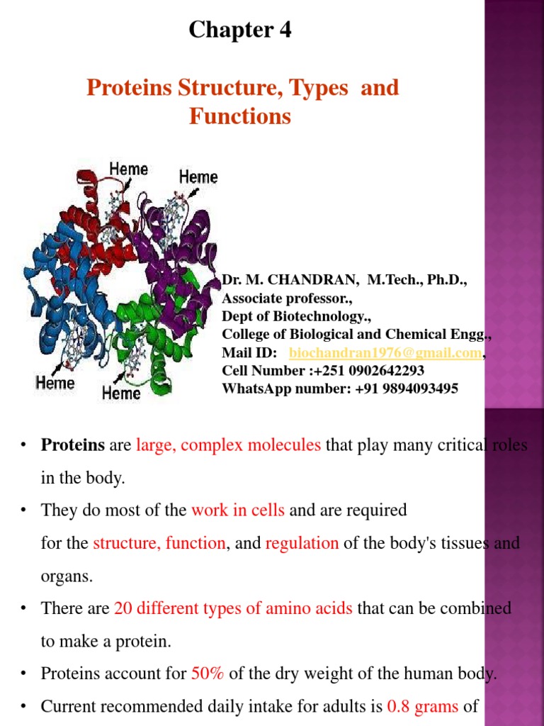 Proteins Structure Types Functions And Denaturation Pdf Alpha