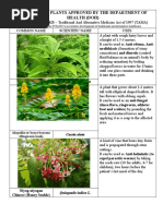 10 Herbal Plants (Halamang Gamot) Approved by The DOH.: Name (Tagalog ...