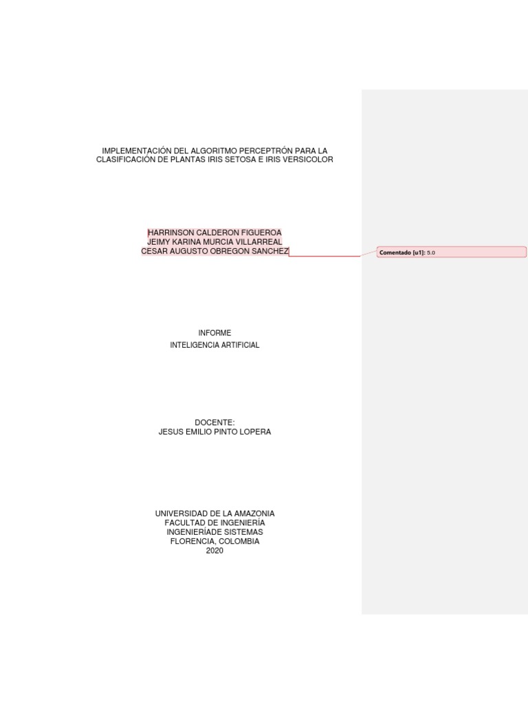 Red Multicapa | PDF | Métodos y materiales de enseñanza