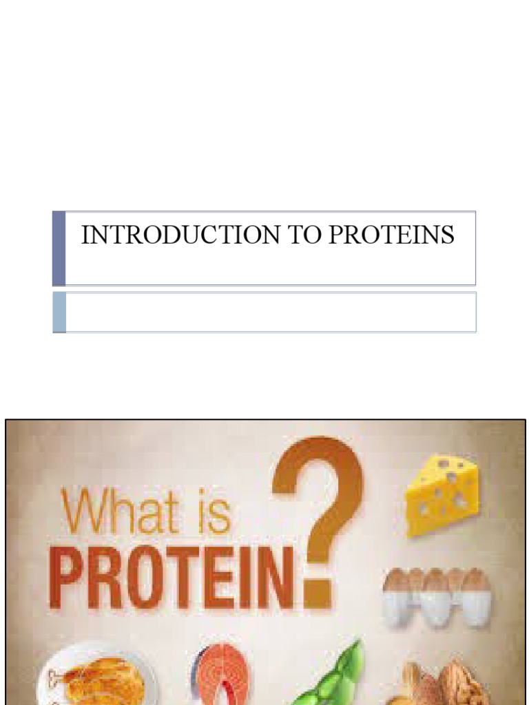 Introduction To Proteins | PDF