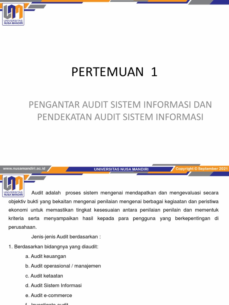 Pengantar Audit Sistem Informasi dan TI | PDF | Bisnis | Komputer