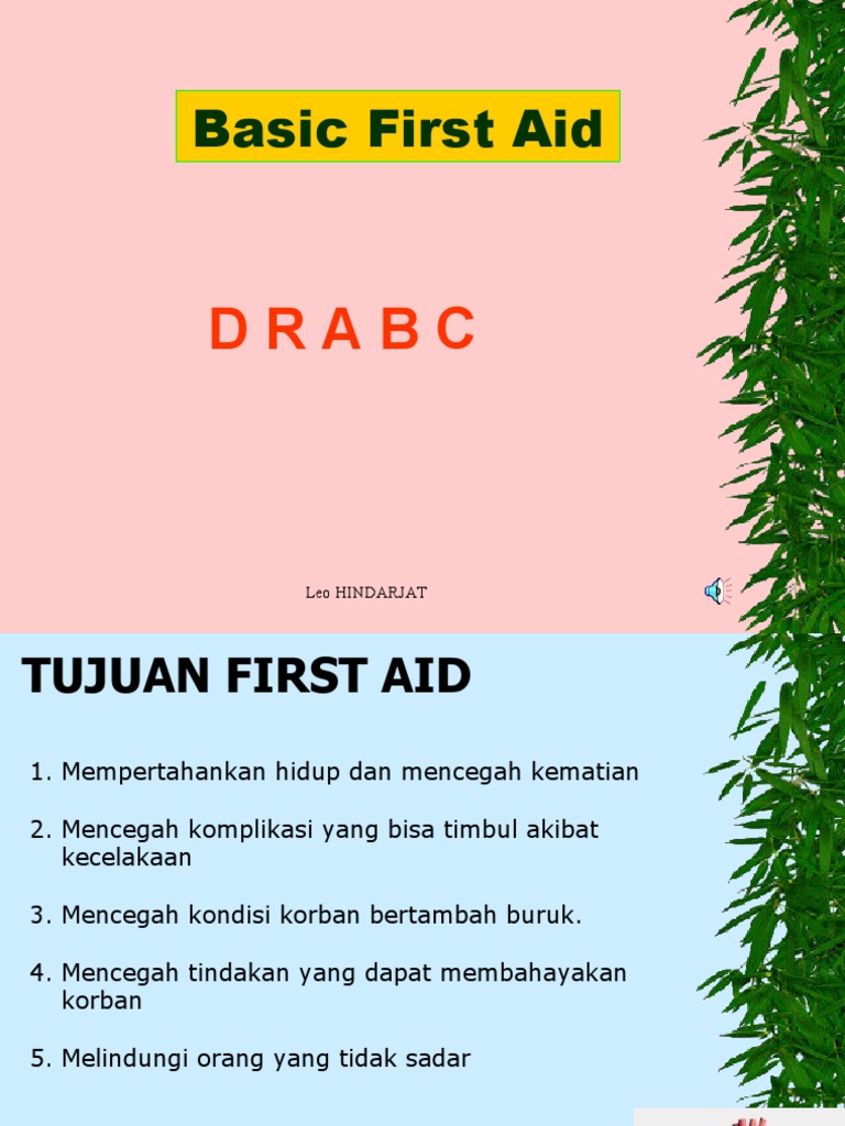 Basic First Aid | PDF