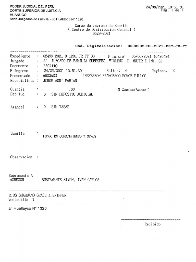 Exp. 02499-2021-0-1201-JR-FT-03 - Anexo - 16320-2021 | PDF