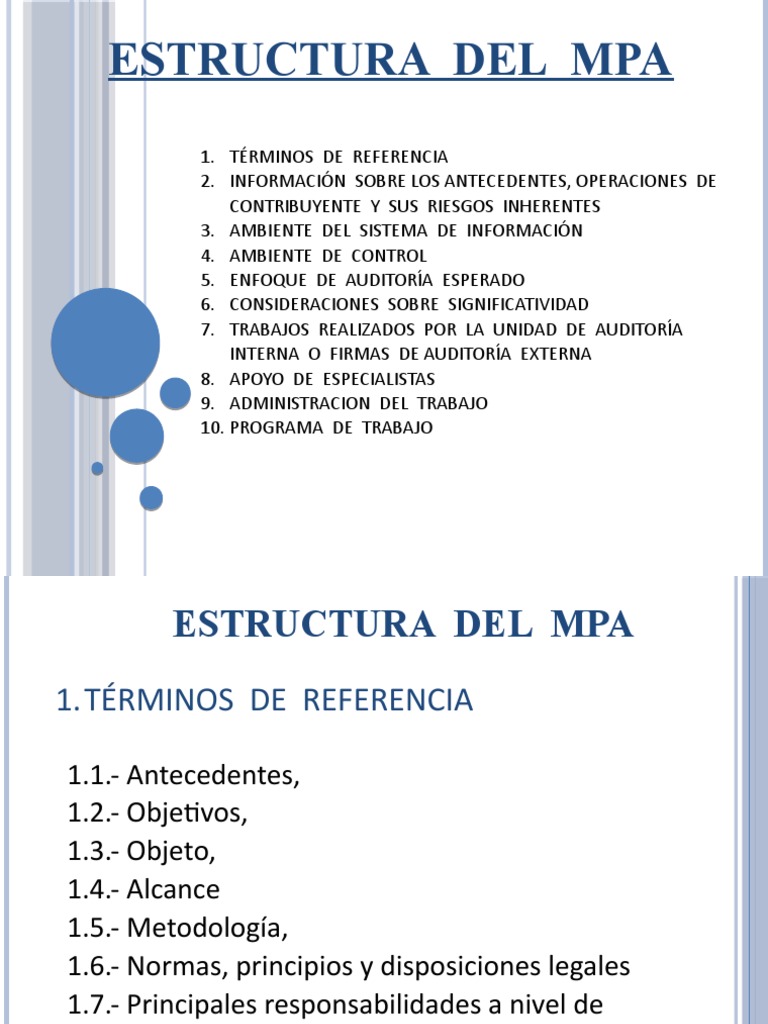 2020 Estructura Mpa | PDF | Auditoría | Prueba (evaluación)
