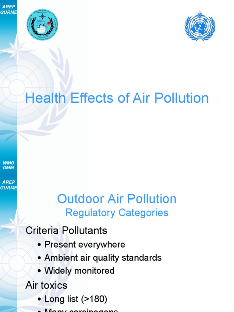 Health Effects of Air Pollution | PDF | Air Pollution | Particulates