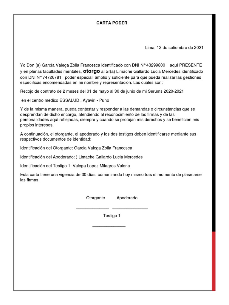 Carta Poder Simple | PDF