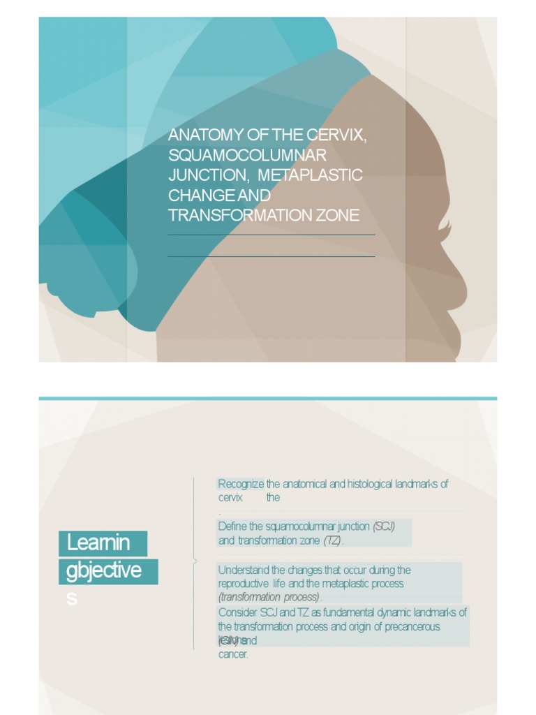 Anatomy of The Cervix, Squamocolumnar Junction, Metaplastic Change and ...
