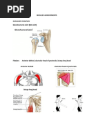 19 Mcgills Torso Muscular Endurance Test Battery Protocol | PDF ...