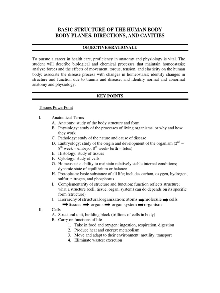 Anatomy and Physiology Foundations: Exploring the Basic Structure and ...