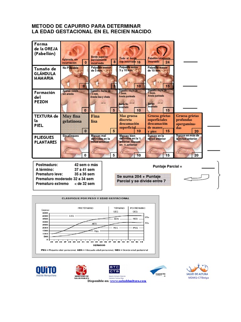 CAPURRO | PDF | Especialidades Medicas