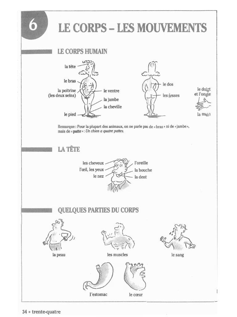 Le Corps Et La Santé | PDF
