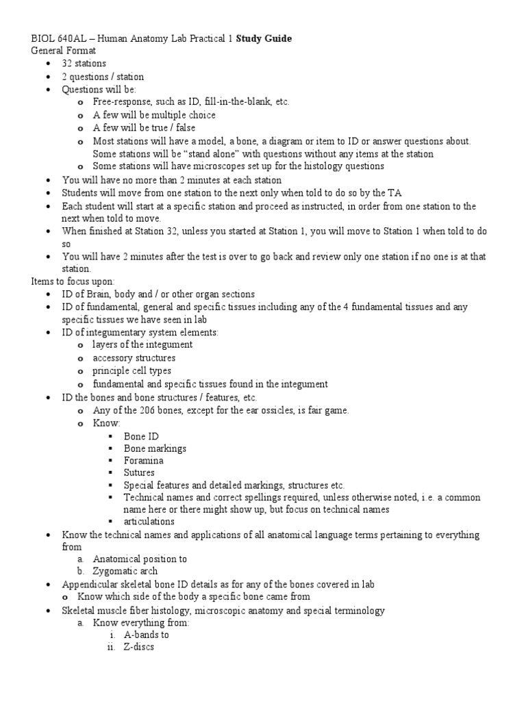 A Comprehensive Guide to Preparing for the Human Anatomy Lab Practical 1 Exam | PDF | Skeletal ...
