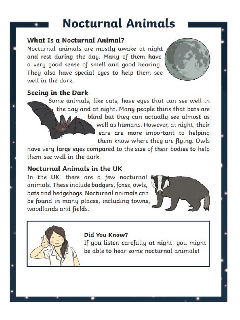 Nocturnal Animals Comprehension-Challenge 2 | PDF