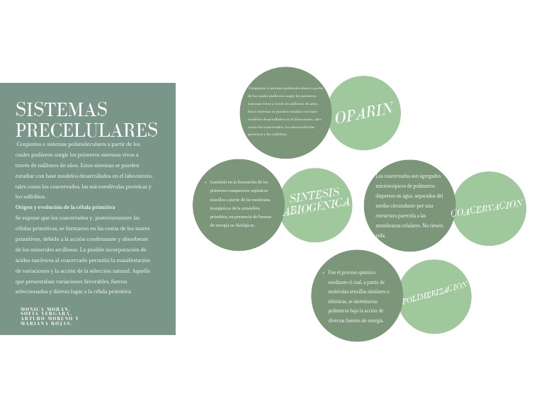 Mapas Precelulares | PDF | Biología Celular) | Química