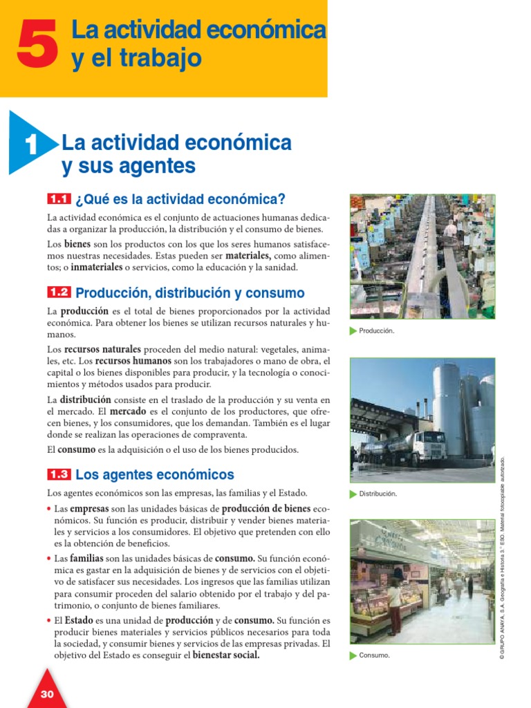 La Actividad Económica y El Trabajo. | PDF | Globalización | Bienes