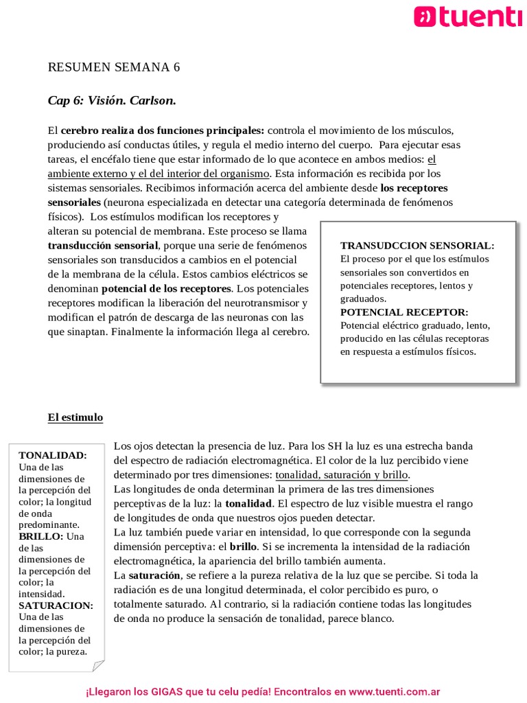 Resumen Cap 6 Carlson | Descargar gratis PDF | Percepción visual | Color