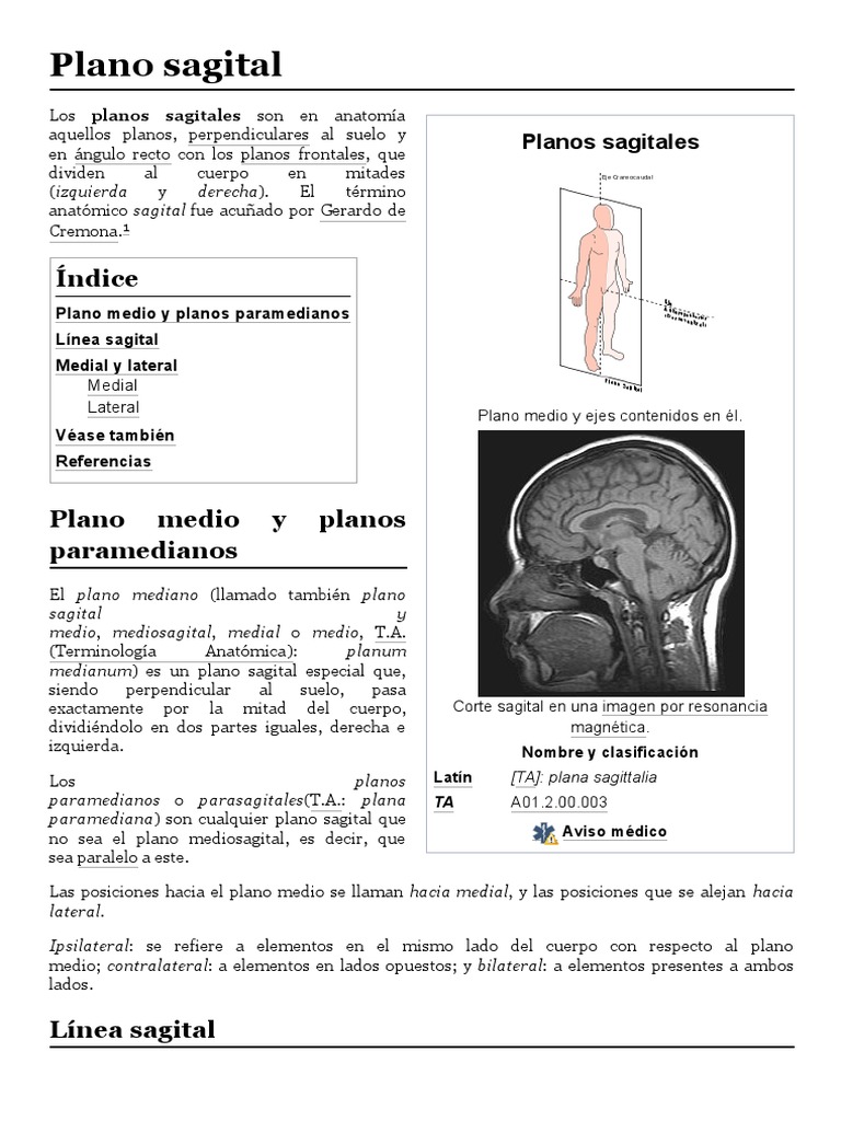 Anatomía Del Plano Sagital