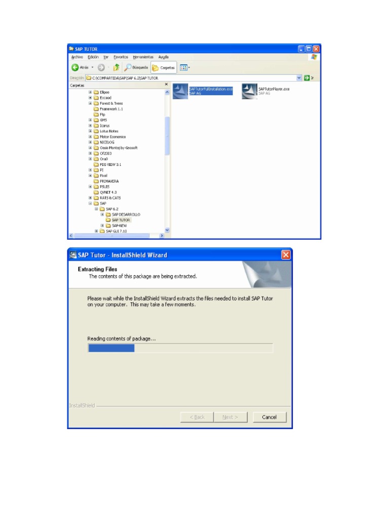 Manual de Sap | PDF