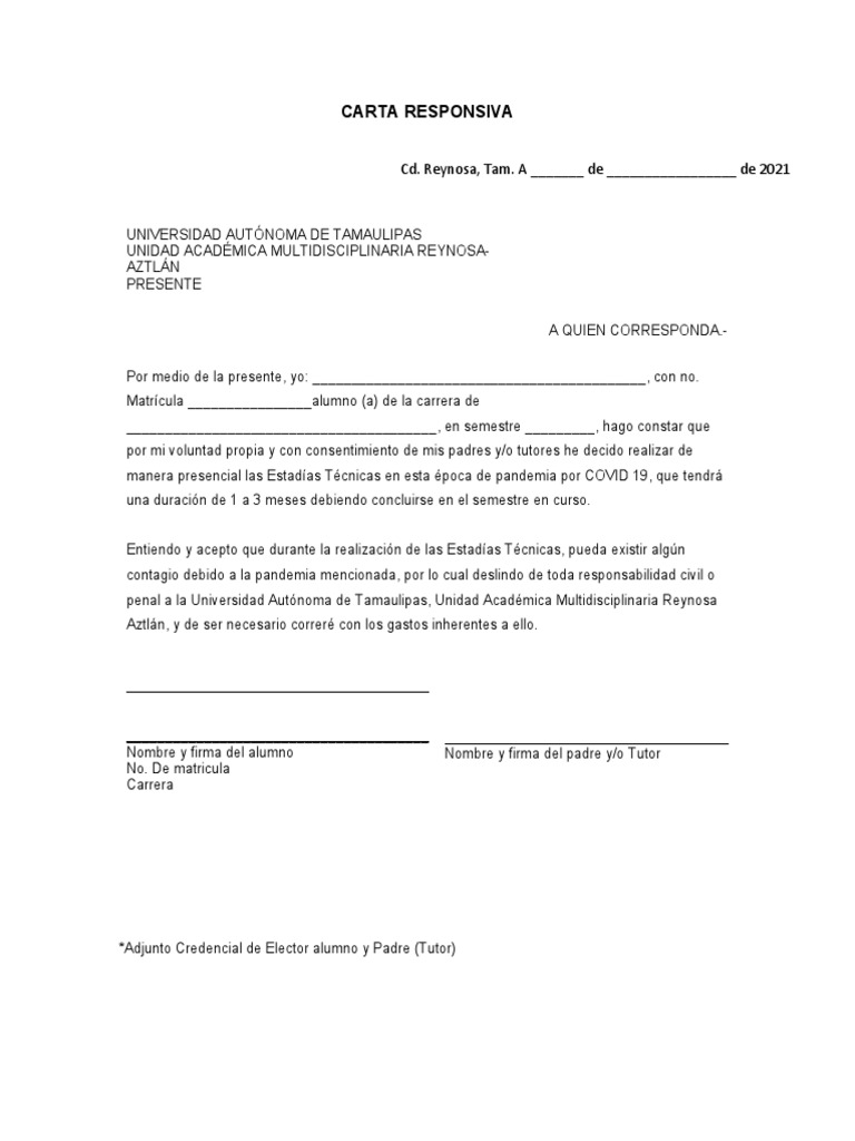 Carta Responsiva | PDF