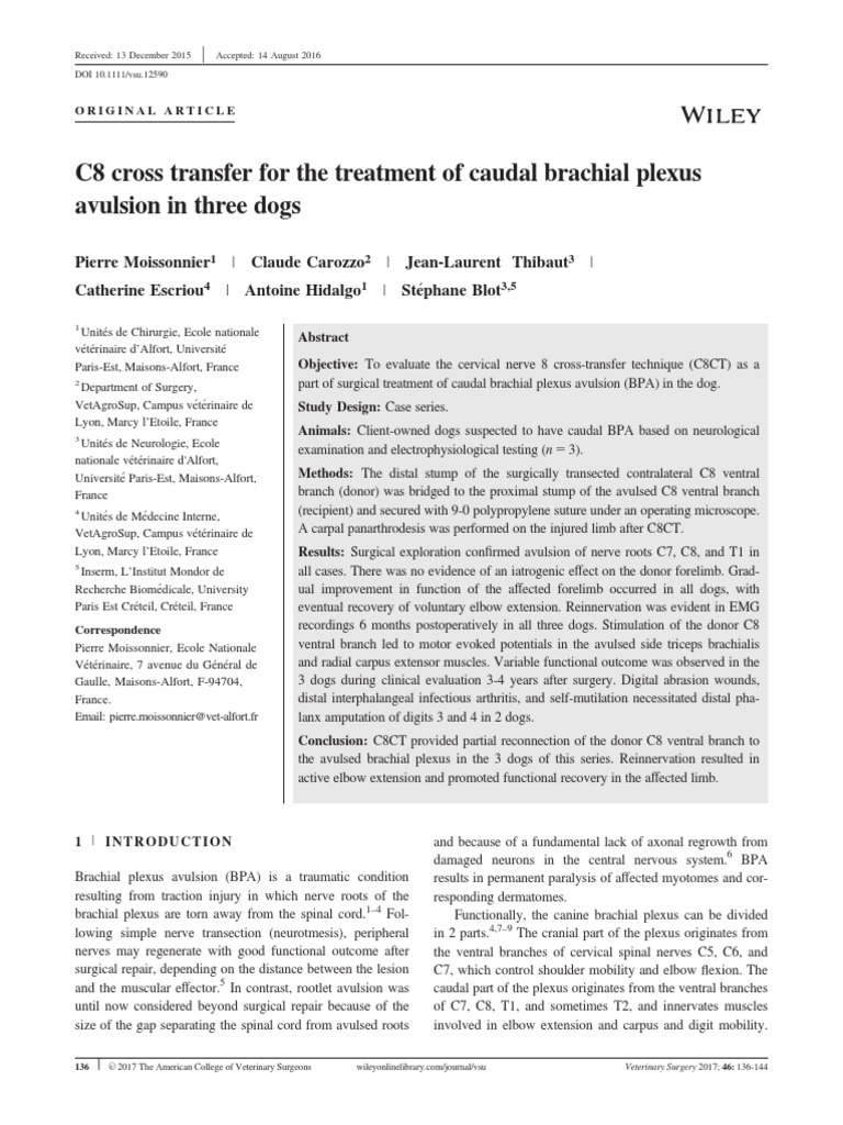 15.C8 Cross Transfer For The Treatment of Caudal Brachial Plexus ...
