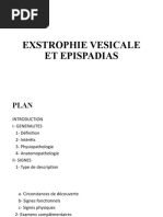 Anatomie de l'Aine et Canal Inguinal | PDF | Péritoine | Vaisseau sanguin