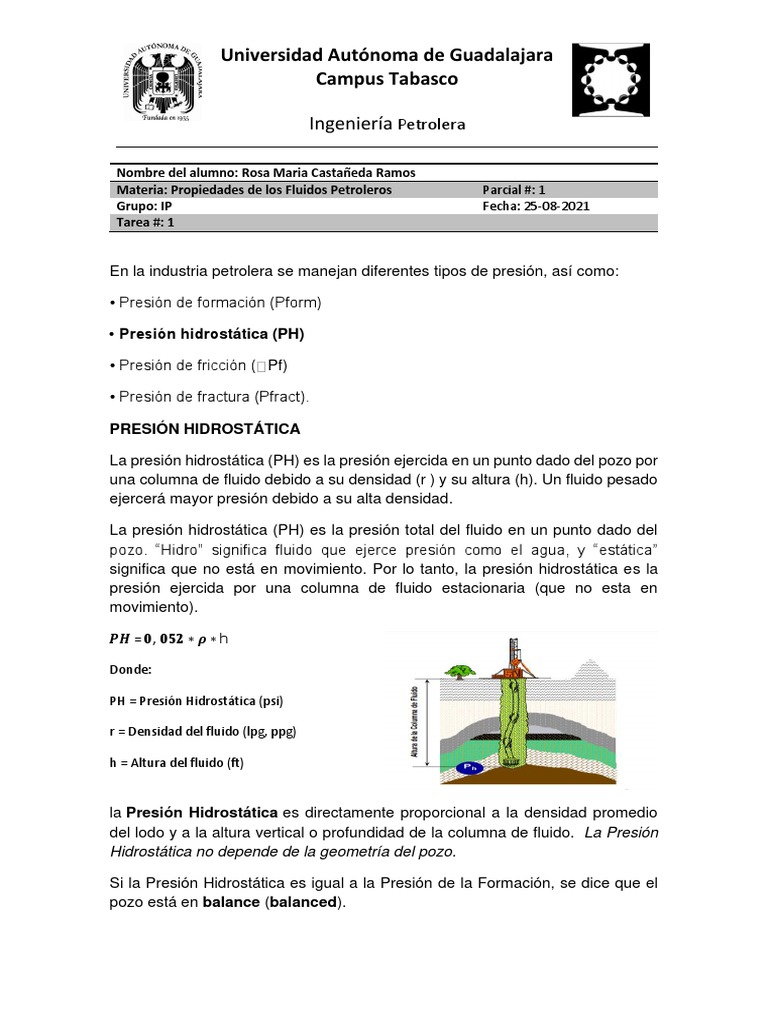 Tarea Presion Hidrostatica | PDF | Presión | Física Aplicada e ...
