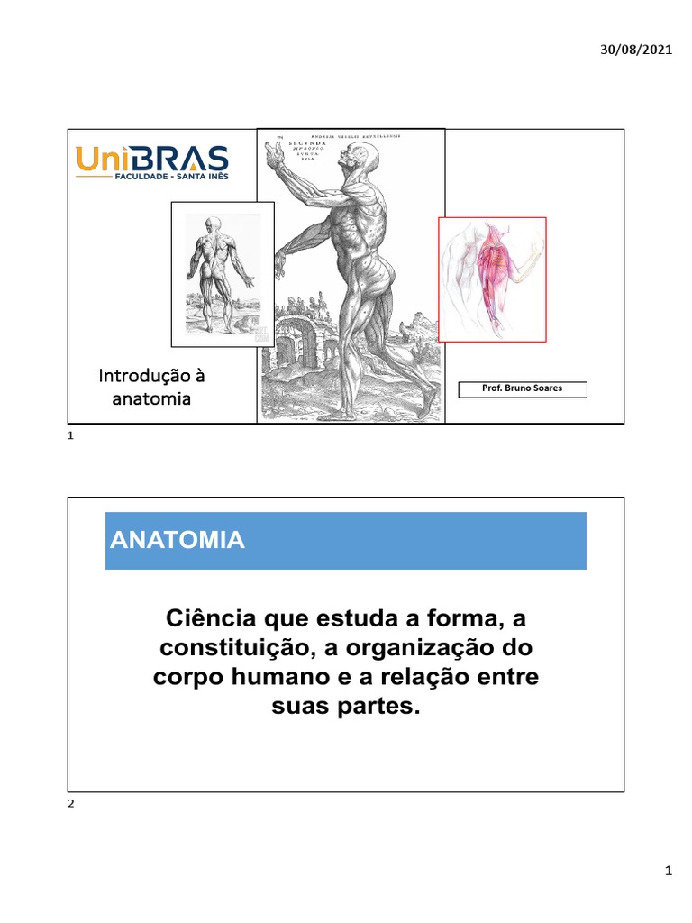 Introdução à Anatomia Humana | PDF | Anatomia | Corpo humano