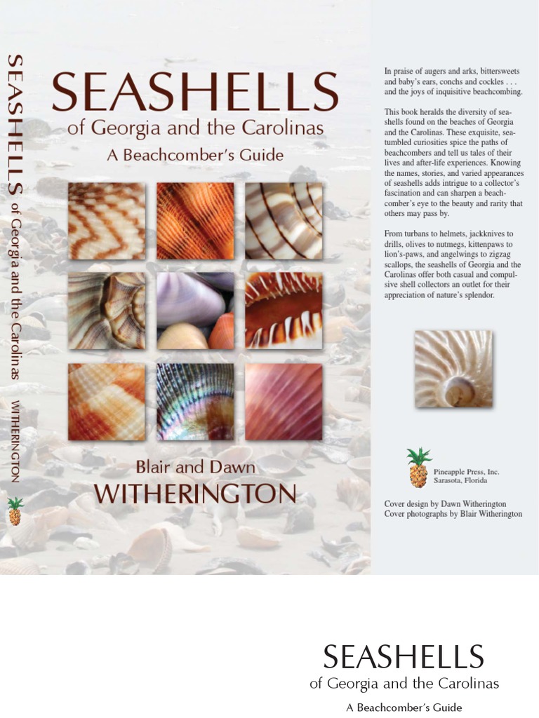 Seashells of Georgia and The Carolinas by Blair and Dawn Witherington ...