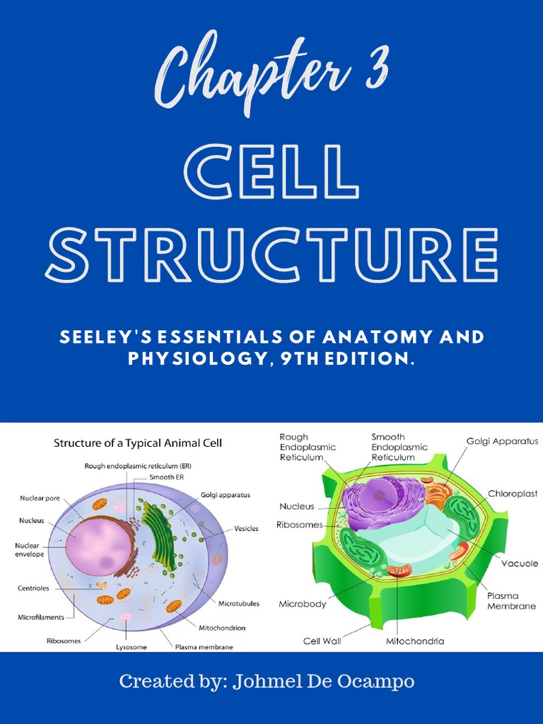 Anatomy Physiology Chapter 3 Cell Structure | PDF | Osmosis | Cell Membrane