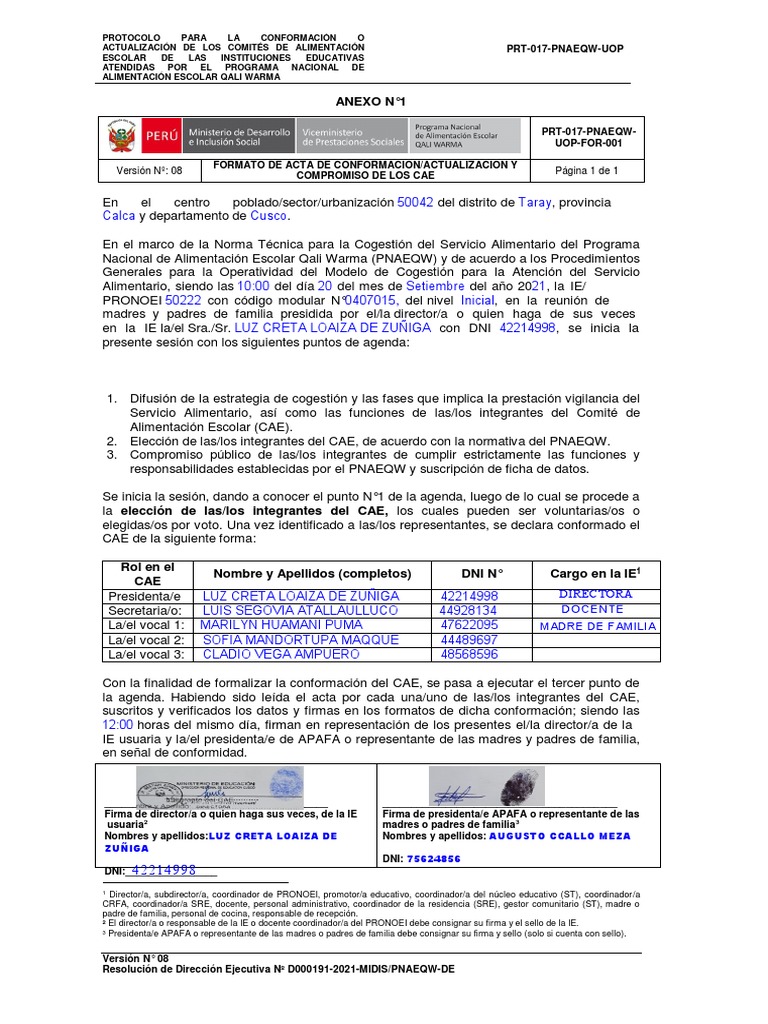 Formato Llenado CAE | PDF