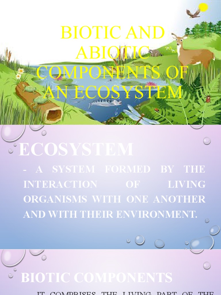 Biotic and Abiotic Components of An Ecosystem | PDF | Soil | Natural ...