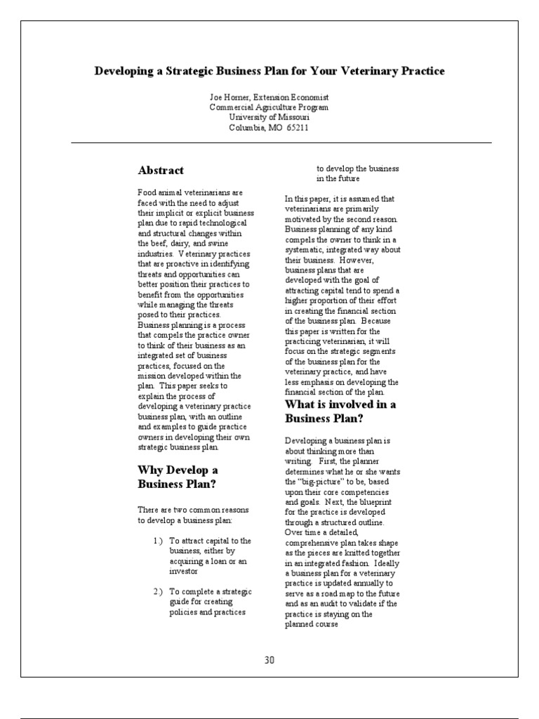 Developing A Business Plan For Your Vet Practice | PDF | Market ...