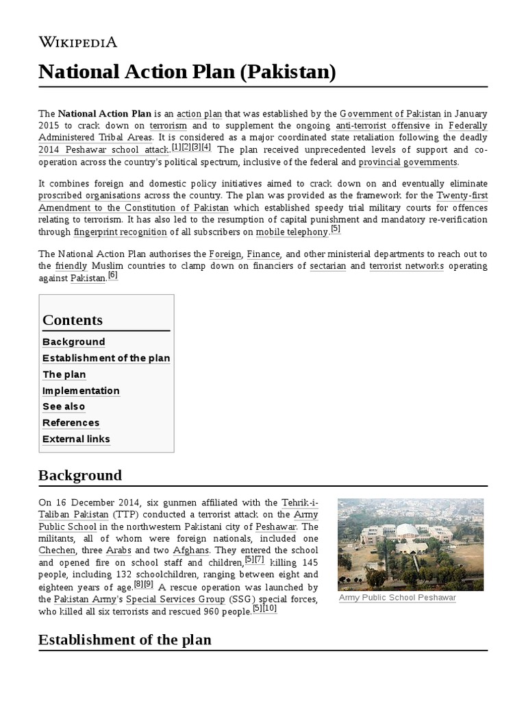 National Action Plan (Pakistan) | PDF | Government | Politics Of Pakistan