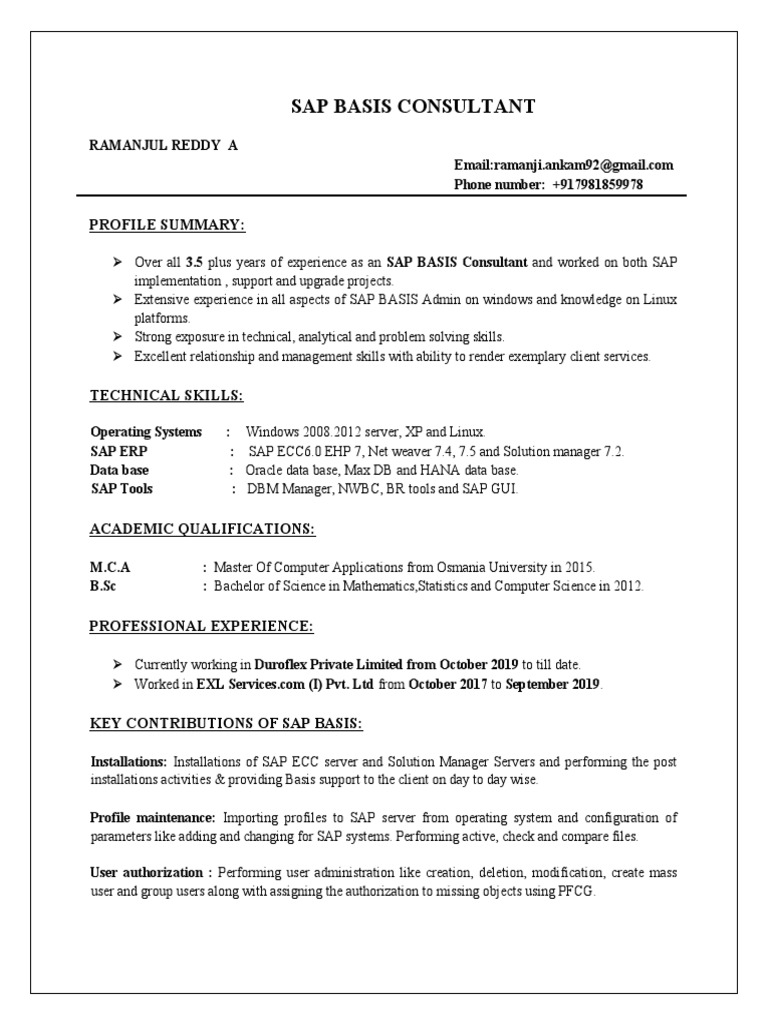 Sap Basis Consultant: Profile Summary | PDF | Databases | Operating System