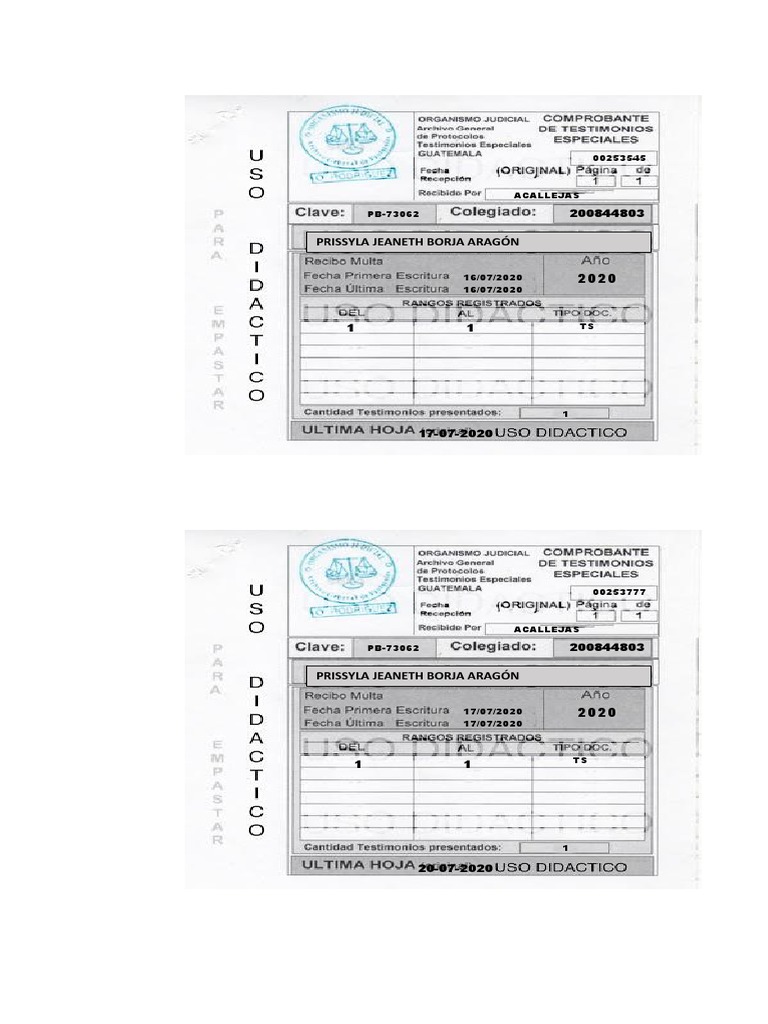 Comprobante de Testimonios Especiales, PDF | PDF Comprobante de Testimonios Especiales, PDF | PDF