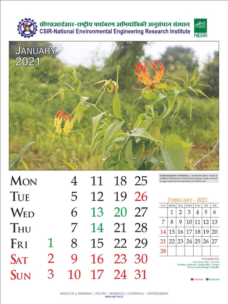 Csir-Neeri Calendar 2021 | PDF