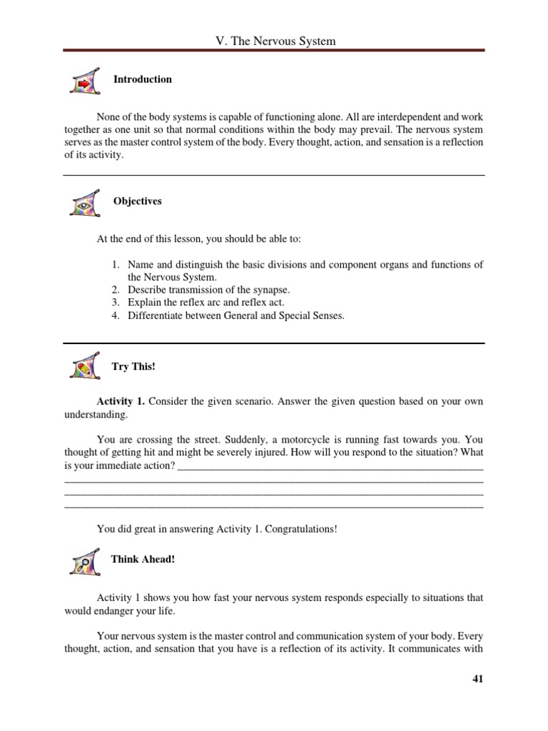 Module Nervous System | Download Free PDF | Neuron | Central Nervous System