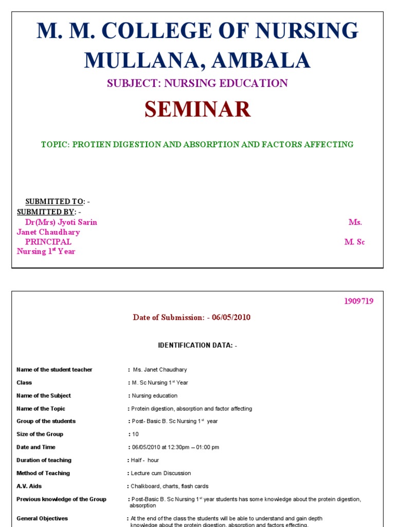 LESSON PLAN Seminar | PDF | Lesson Plan | Teachers