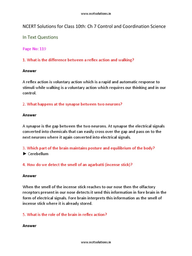 In Text Questions: NCERT Solutions For Class 10th: CH 7 Control and Coordination Science | PDF ...