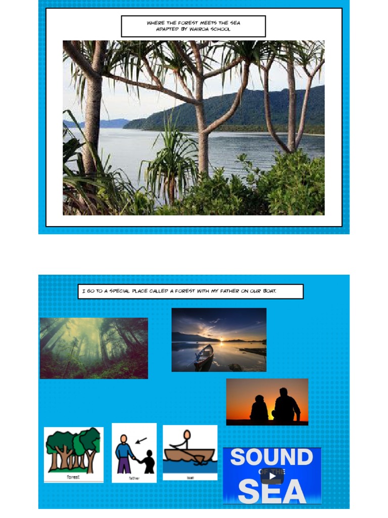 Where The Forest Meets The Sea | PDF