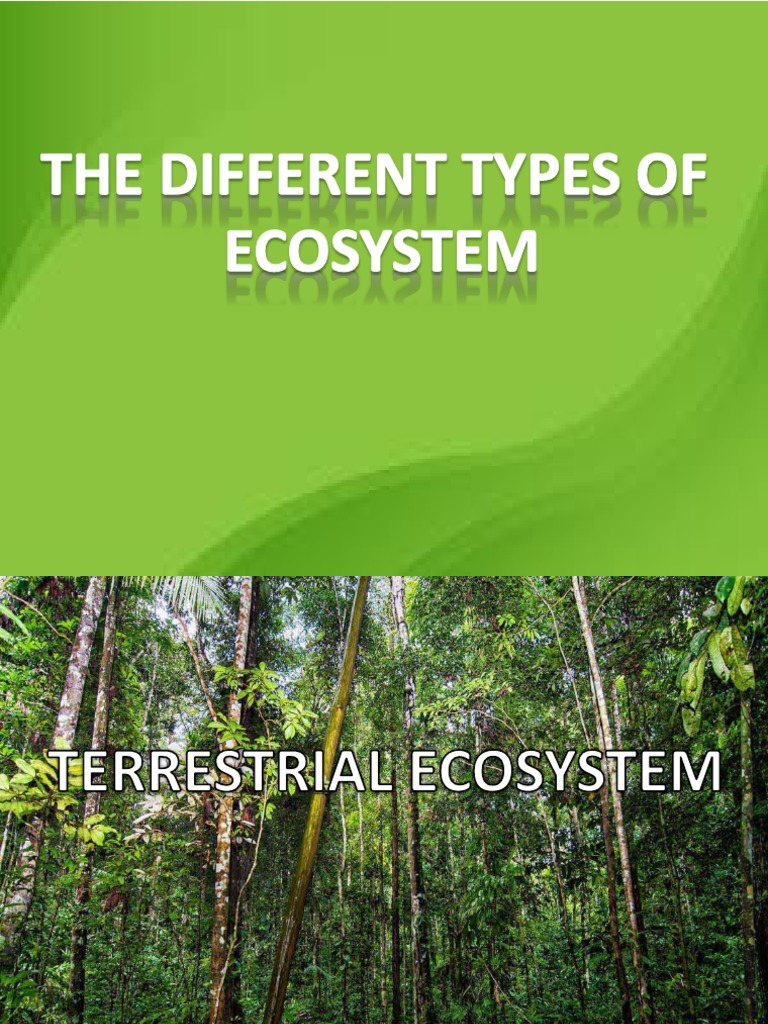 Types of Ecosystem | PDF