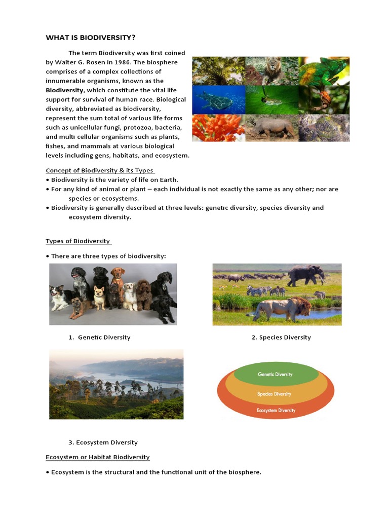 What Is Biodiversity | PDF | Biodiversity | Habitat